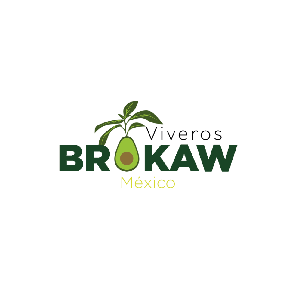 Inicio - Viveros Brokaw México